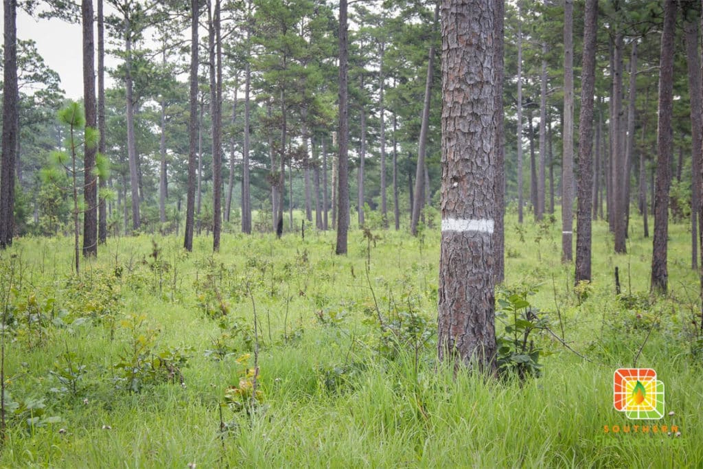 Southern Fire Exchange